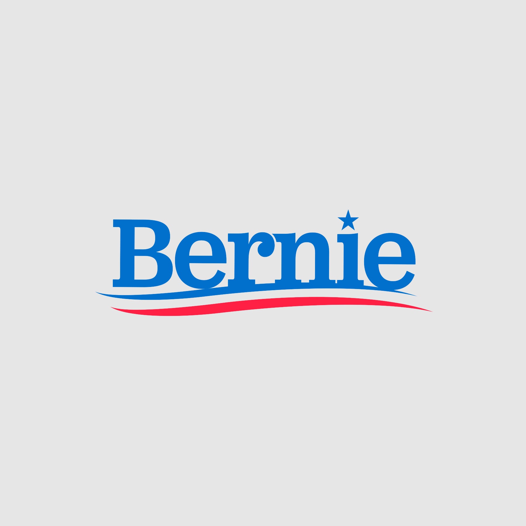 The logos of all 11 Democratic presidential candidates, ranked - Fast ...