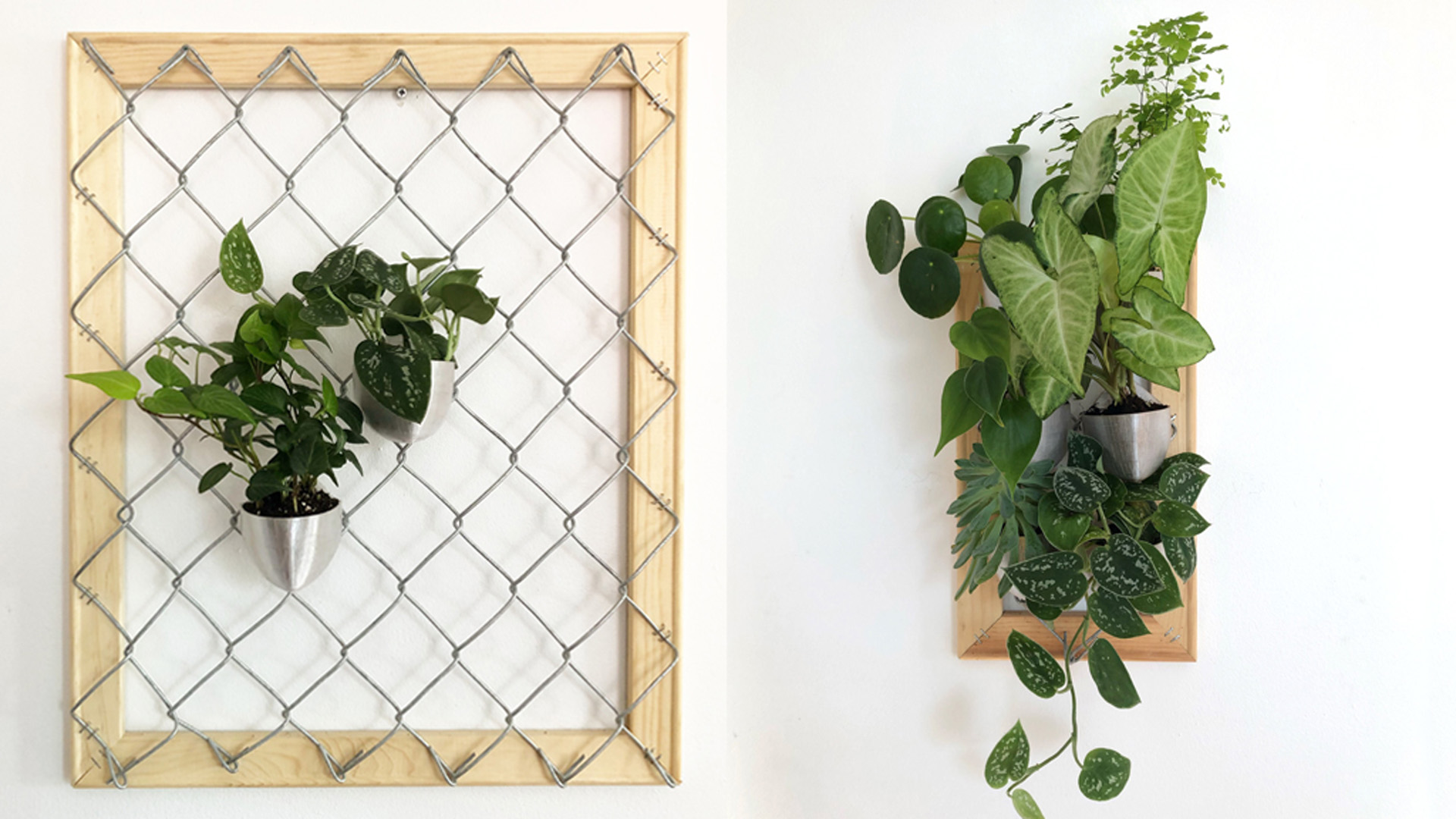 What if chain-link fences could be transformed into gardens? - Fast Company