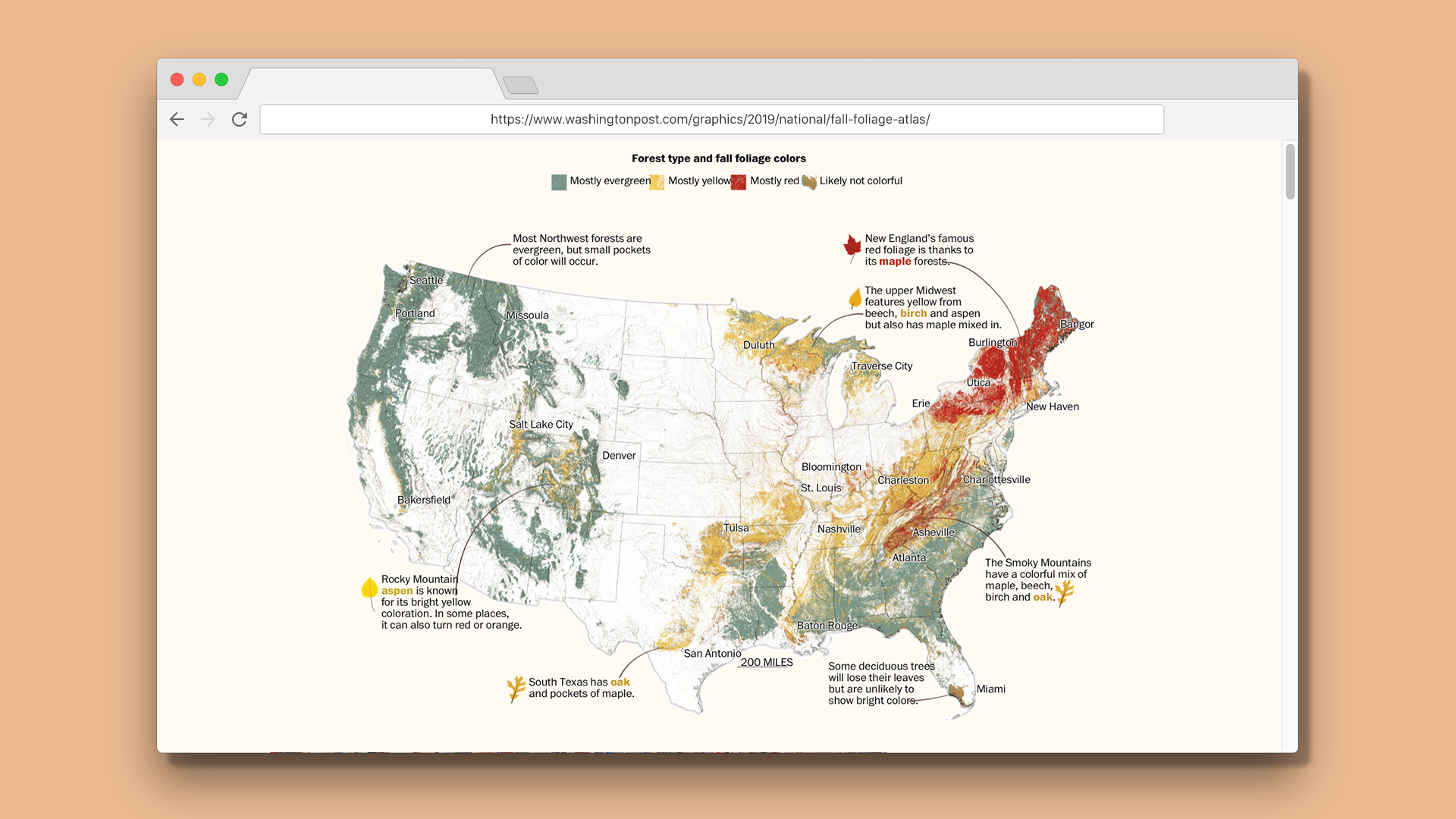 The most beautiful map of fall foliage we've ever seen - Fast Company