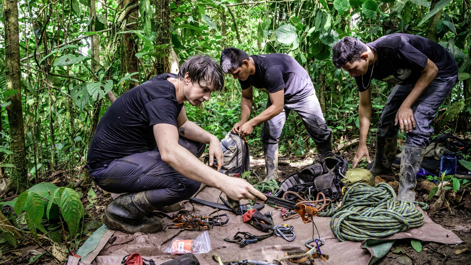 This network of microphones listens for the chainsaws of illegal ...