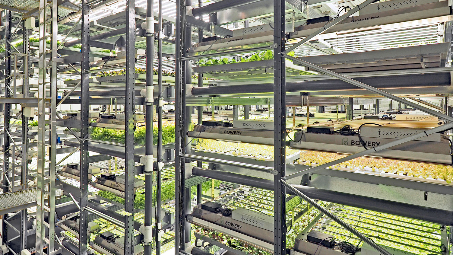 This Google Ventures-backed indoor farming startup just opened its ...