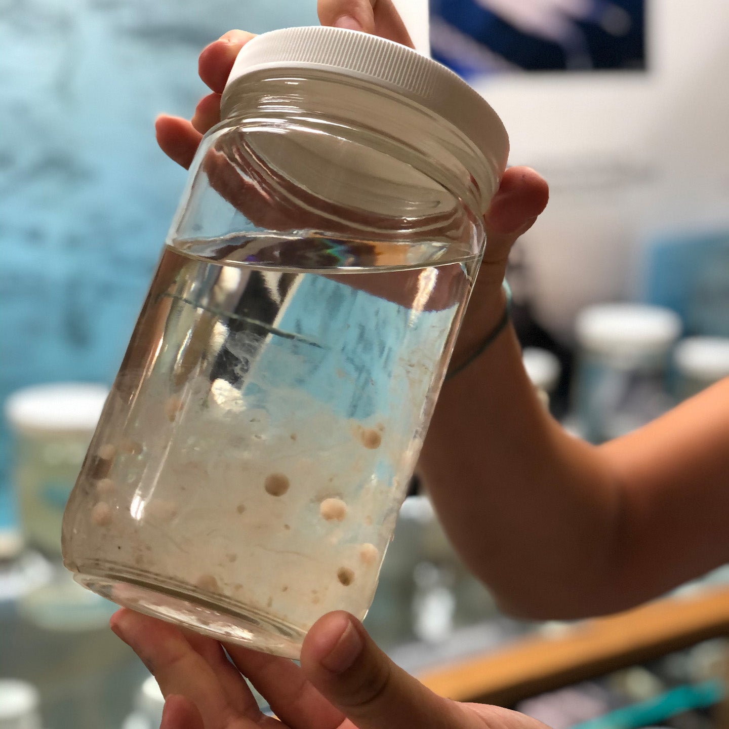 There are a million times more microplastics in the ocean than we ...