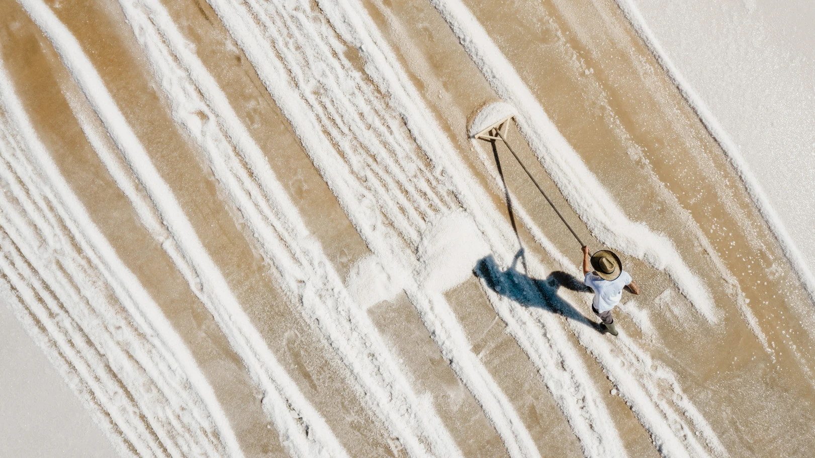 You can now harvest artisanal sea salt right on your countertop - Fast ...