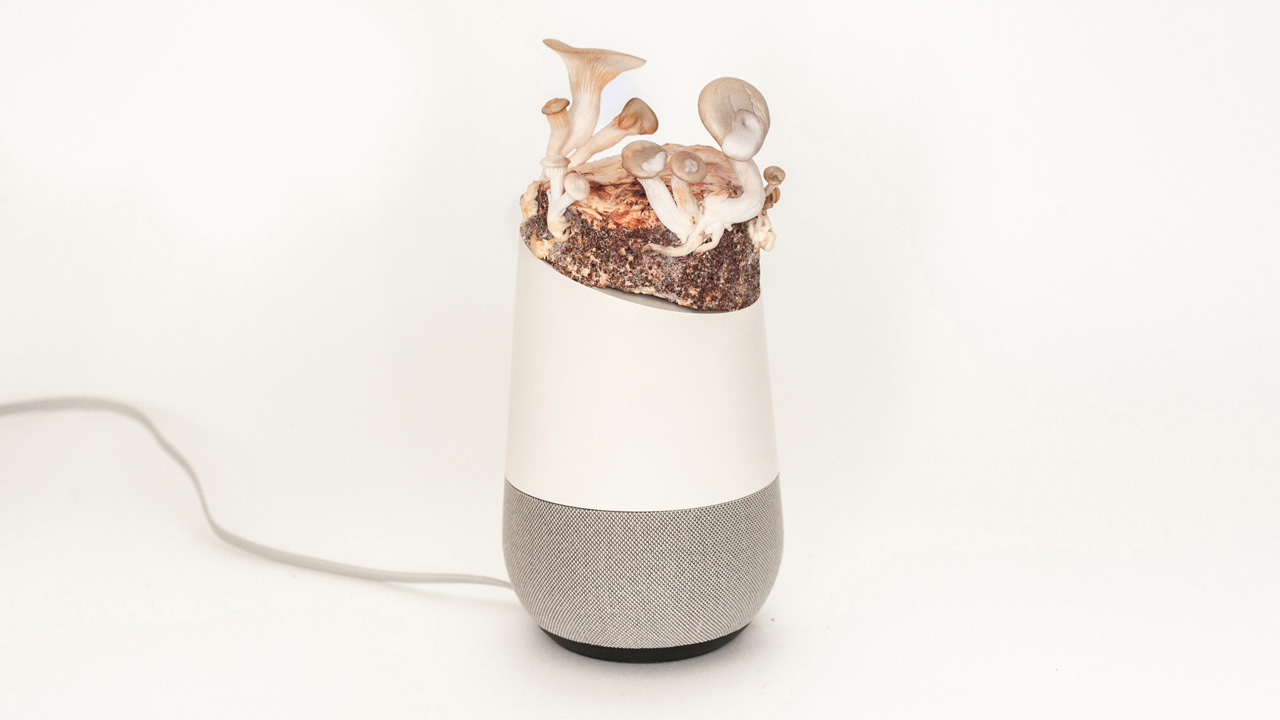 The best interactive design of the year - Fast Company