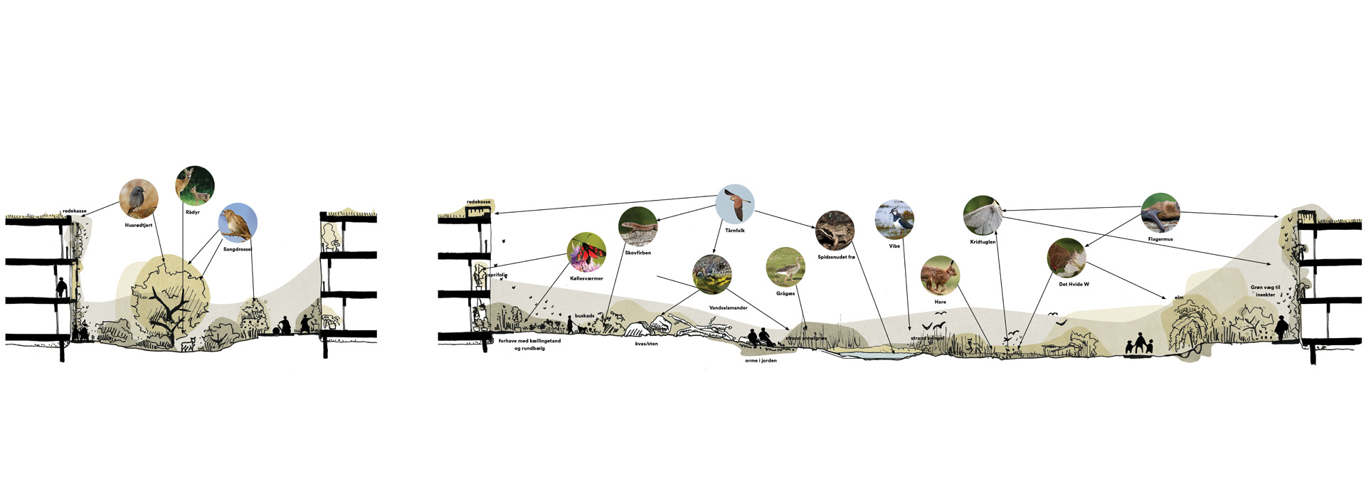 In this new neighborhood, every building will be made entirely out of ...