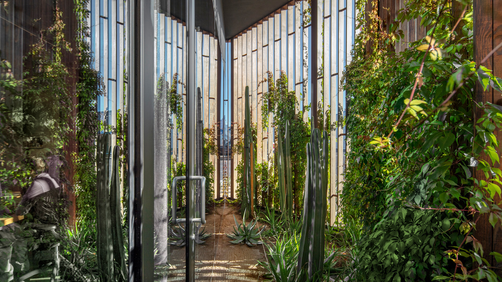 In Arizona, a case study in how architecture can adapt to climate ...