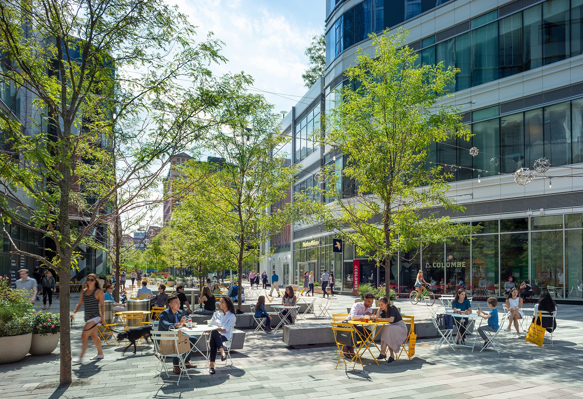 In 2020, retail is moving back to Main Street - Fast Company