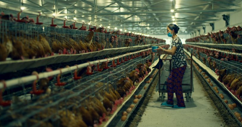 With the coronavirus outbreak, the Netflix docuseries 'Pandemic' is ...