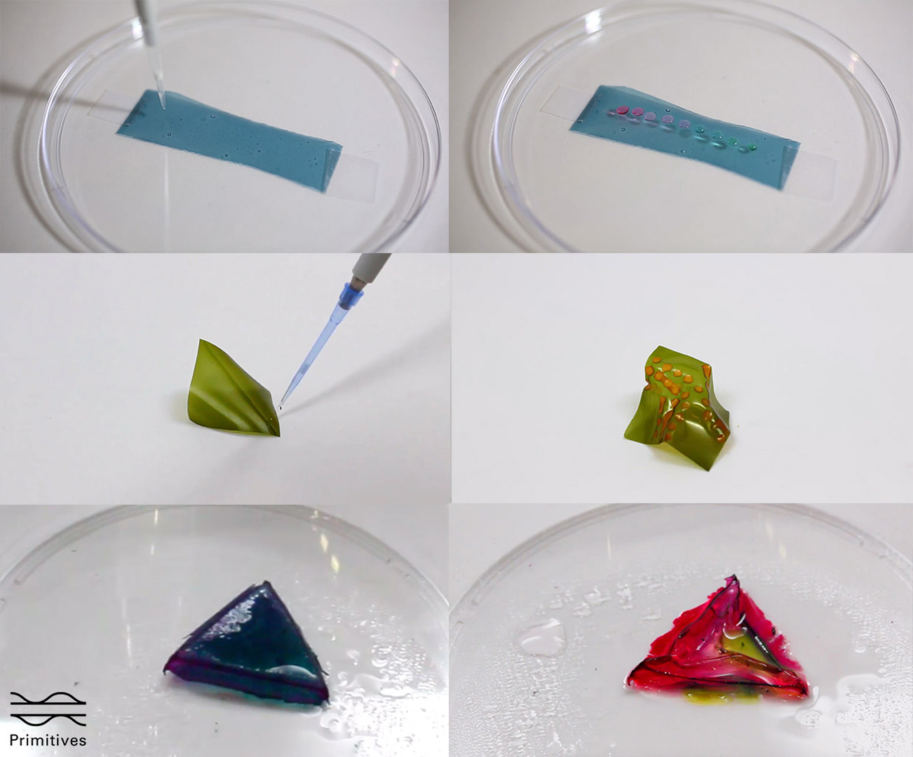 This compostable packaging can tell you when your food is going bad ...