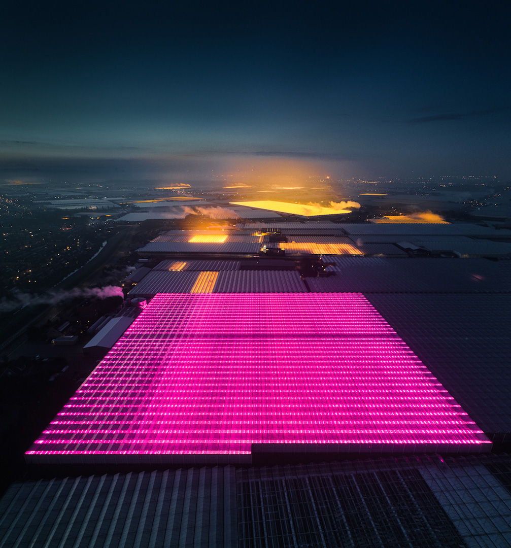 These eerily beautiful glowing buildings are the Netherlands' massive ...