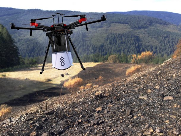 These drones will plant 40,000 trees in a month. By 2028, they'll have ...