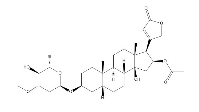 Oleandrin, Trump's latest hope for a COVID-19 miracle cure, is a deadly ...