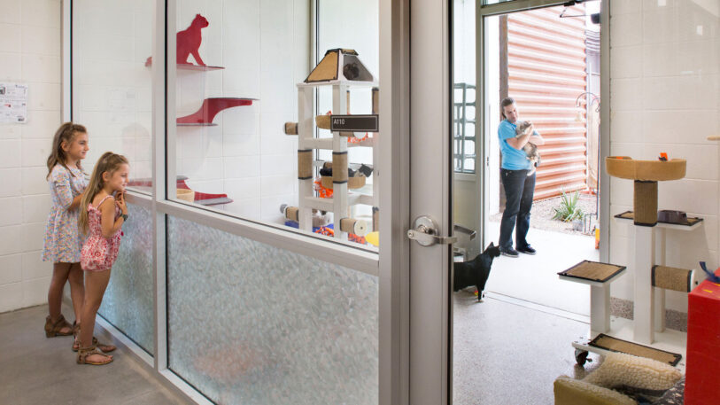 Inside the plan to revolutionize animal shelters - Fast Company