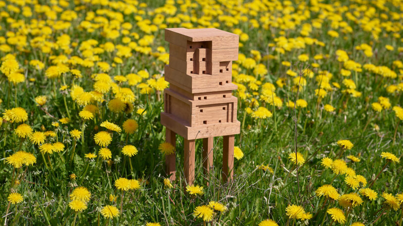 The best experimental design projects of 2020 - Fast Company