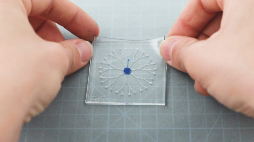 The best experimental design projects of 2020 - Fast Company