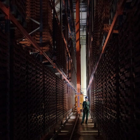 The world's largest insect farm will grow hundreds of millions of ...