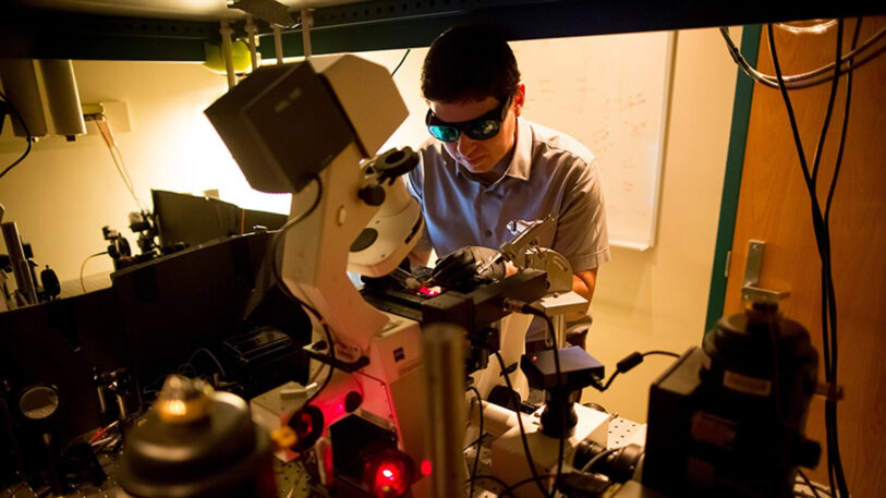 Scientists have turned spinach into biological sensors that email ...