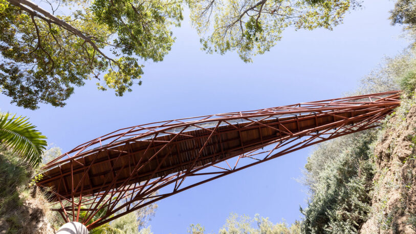 This incredible bridge was designed by students—and built by robots ...