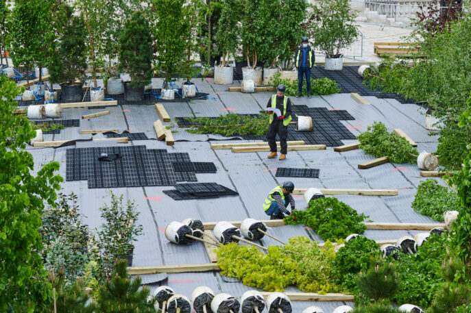 How to build an urban forest from scratch - Fast Company