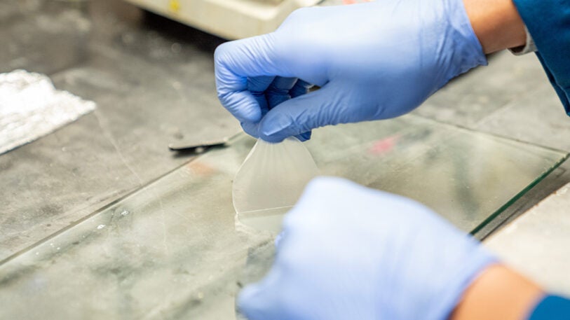 This compostable plastic is actually compostable - Fast Company
