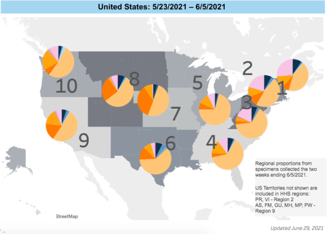 Delta variant in the U.S.—this CDC tracker and map shows where it's ...