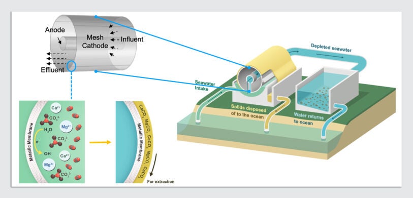 This carbon-capture tech removes CO2 from the ocean by making seashells ...