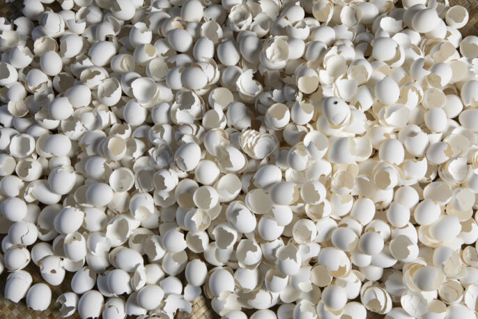 These gorgeous wall tiles are made from eggshells - Fast Company