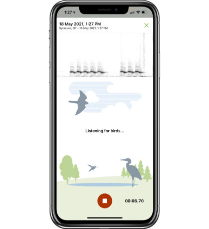 Cornell's free birding app just added a 'Shazam for bird songs' - Fast ...