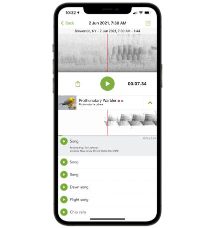 Cornell's free birding app just added a 'Shazam for bird songs' - Fast ...
