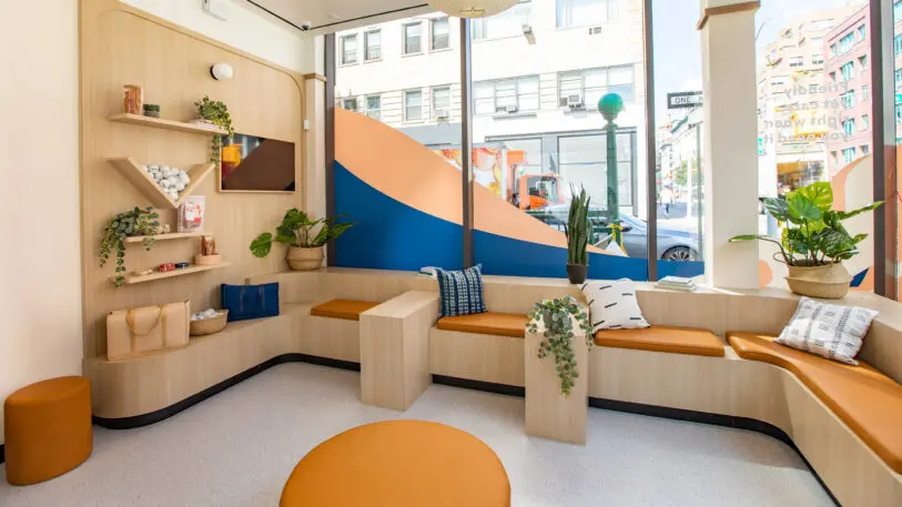 Interior design for pets is a thing now—just ask this Brooklyn vet ...