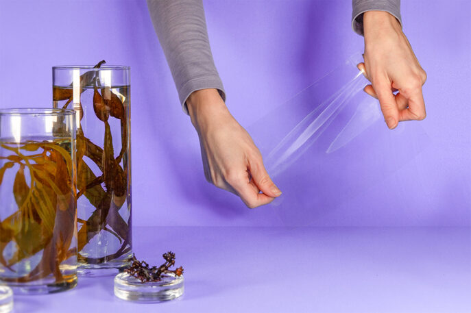 This startup is making compostable plastic out of seaweed - Fast Company