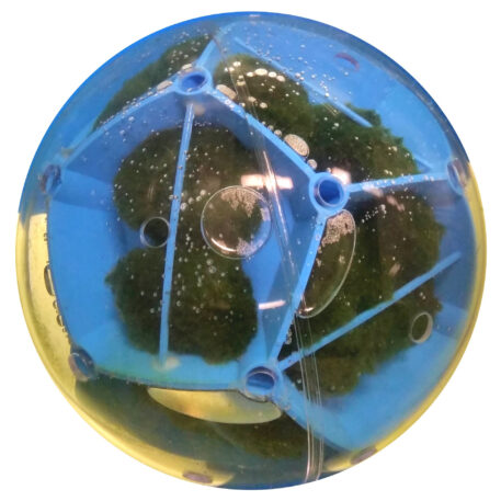 These robots are powered by algae balls living inside - Fast Company