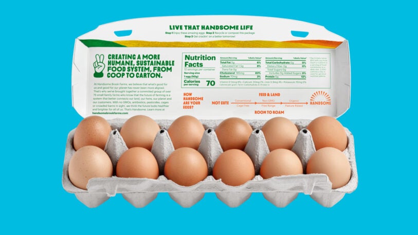 Your supermarket's egg aisle has some of the hottest branding in the ...