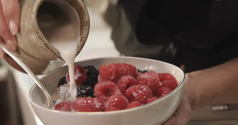 This new milk alternative uses a 'cow-free' dairy protein - Fast Company