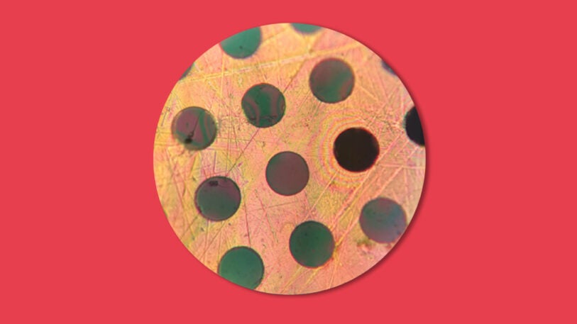 MIT scientists create a super plastic that's 2 times stronger than ...
