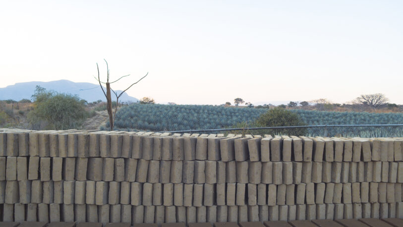 Kendall Jenner's 818 Tequila brand is turning agave waste into bricks ...