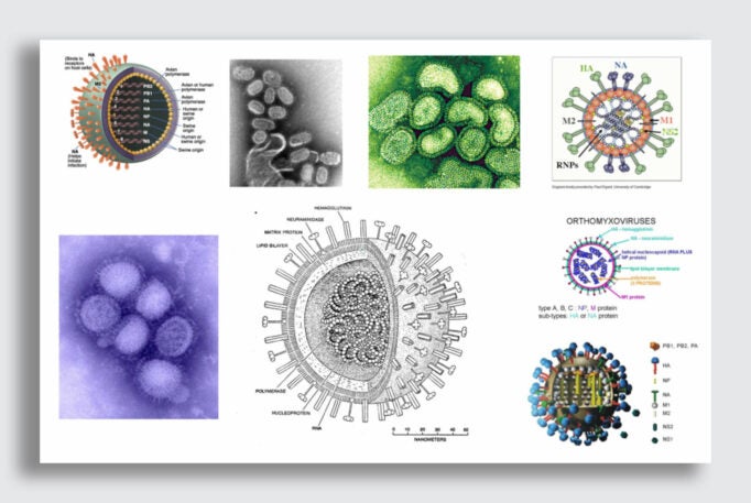 These stunning glass sculptures depict killer viruses - Fast Company