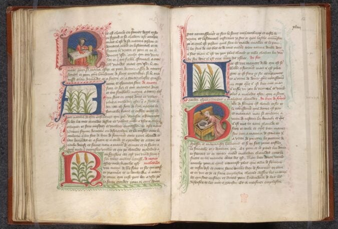 Vomit, leeches, bloodletting: These magnificent illustrations capture a ...
