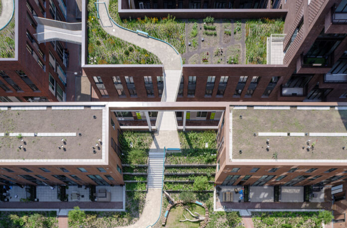 Inside Rotterdam's quest to green 10 million square feet of rooftops ...
