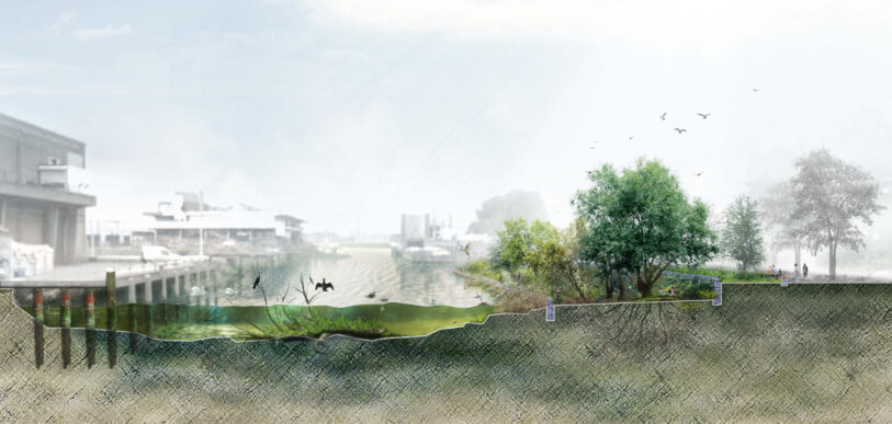 From water squares to tidal parks: Meet the Dutch architects ...