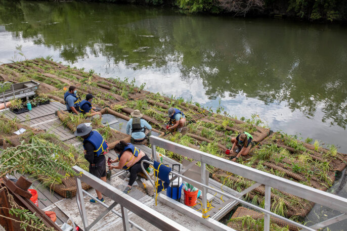 From industrial waste to floating wetlands, how Chicago's Wild Mile is ...
