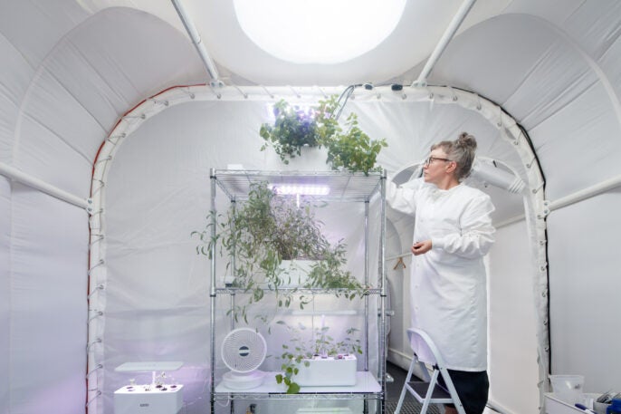 This house is designed for life on Mars (but it's in England) - Fast ...