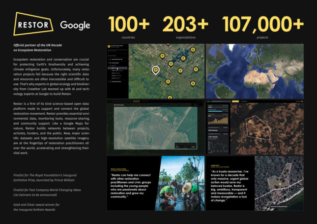 The best data design of 2022 - Fast Company