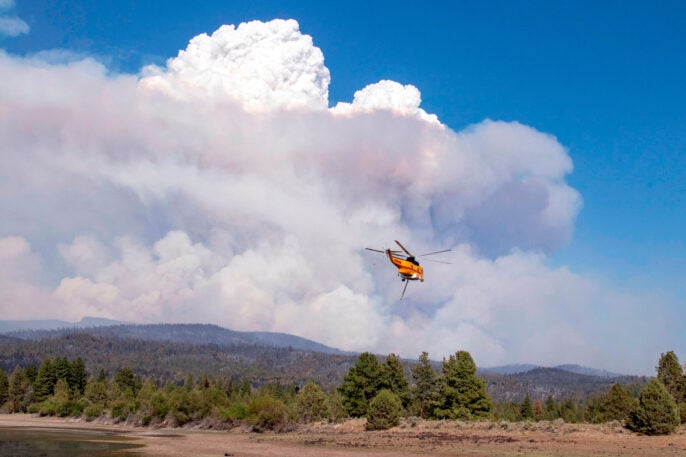 Can we end megafires? These companies are trying to - Fast Company