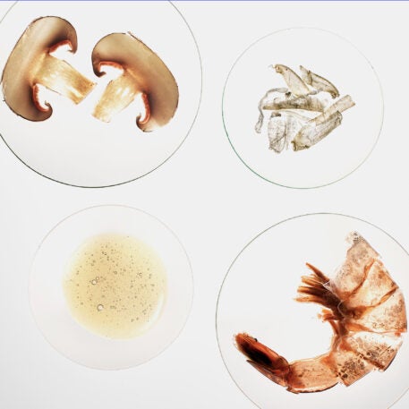 This looks like leather — but it’s made from shrimp shells - Fast Company