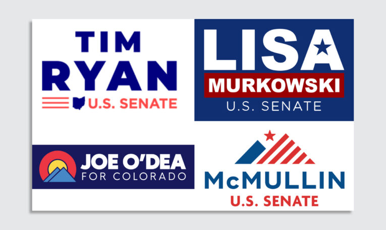 For moderate political candidates, minimalism is the new patriotism ...