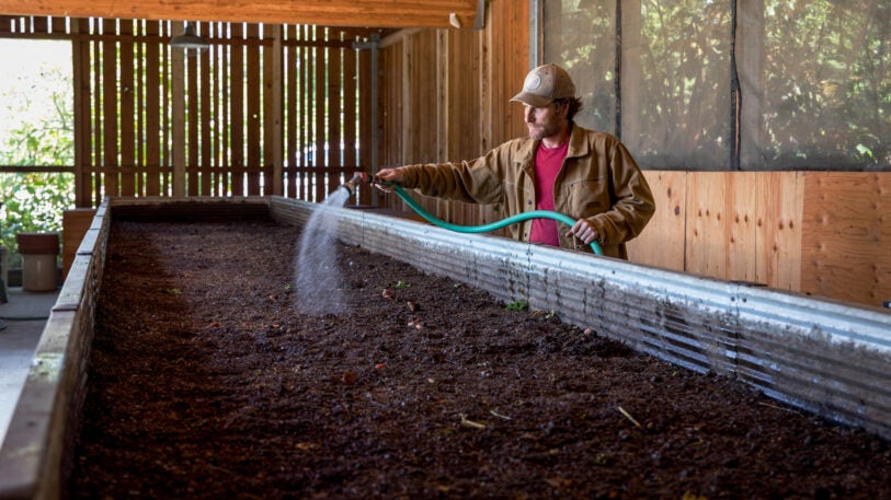 Poop jacuzzis, ducks, and worm bins: How this inspirational farm ...