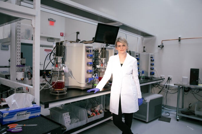 The first CRISPR gene-edited meat is coming—and this is the CEO making ...