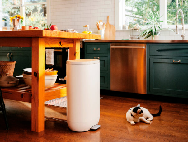 Nest's cofounder just designed the world's fanciest bin for food scraps ...