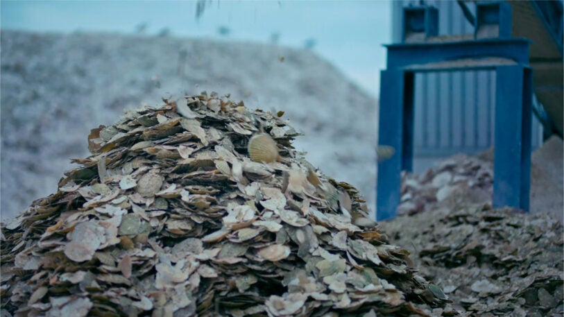The Shellmet is an ultra-strong helmet made from scallop shells - Fast ...